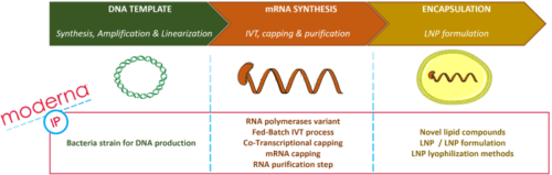 Circular DNA: OriCiro brings new block to Moderna mRNA platform