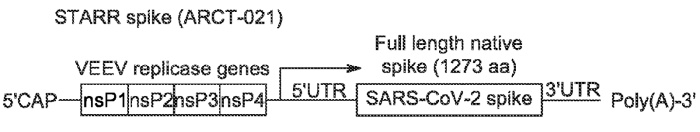 Arcturus Therapeutics patented technologies on self-amplifying RNA vaccines