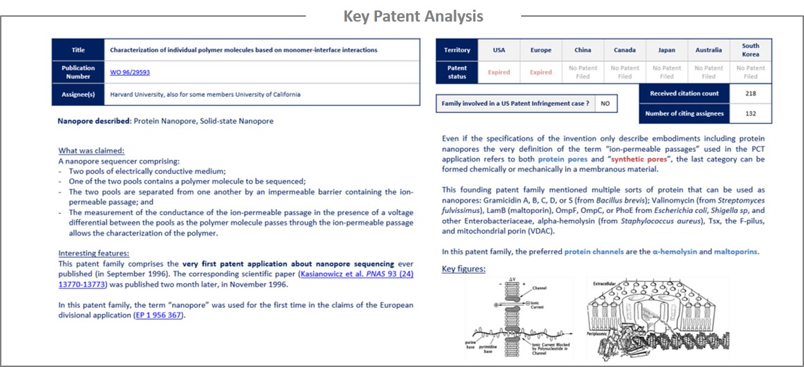 Nanopore Sequencing Patent Landscape 2019